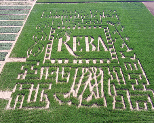 Peebles Farm Pumpkin Patch and Corn Maze